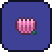 Seashell Hairpin | Terraria Wiki | Fandom