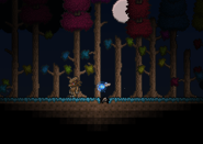 Moon Charm | Terraria Wiki | Fandom