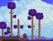 Tree | Terraria Wiki | Fandom