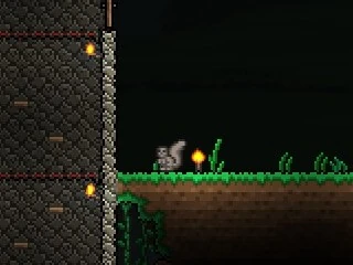 Squirrel | Terraria Wiki | Fandom