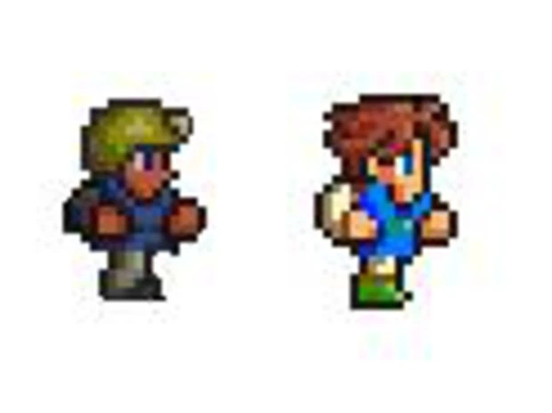 The Player | The Terraria Wiki | Fandom