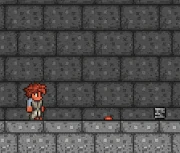 Poisoned - Terraria Wiki