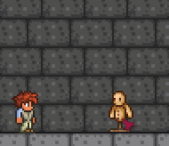 Rally - Terraria Wiki