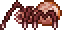 Blood Crawler - Terraria Wiki