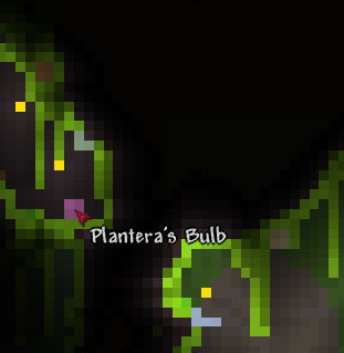 Plantera
