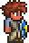 Cobalt Shield - Terraria Wiki