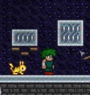 Hoik - Terraria Wiki