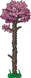 Sakura Sapling - Terraria Wiki
