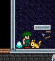 Hoik - Terraria Wiki