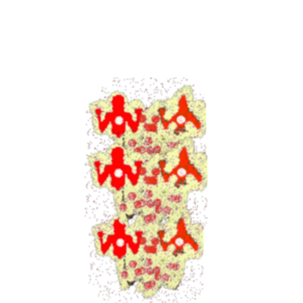 Lordlordsprite Lord | Terraria Fan Ideas Wiki | Fandom