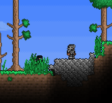 Ninja NPC | Terraria Fan Ideas Wiki | Fandom