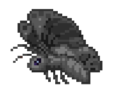 Graphite Moth | Terraria Fan Ideas Wiki | Fandom