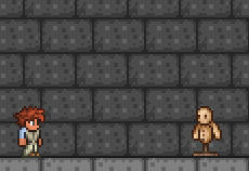 Echo Staff - Official Terraria Mods Wiki