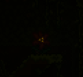 Jungle Lily Bud - Official Terraria Mods Wiki