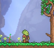 MrPlague's Authentic Races/Lihzarhd - Official Terraria Mods Wiki