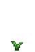 Corn - Official Terraria Mods Wiki