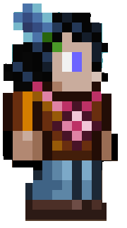 Traveller (NPC) | The Terraria Ideas Wiki | Fandom