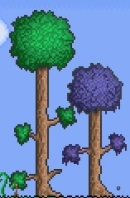 Wood Block | Terraria X Wiki | Fandom