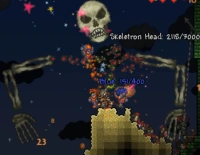 Skeletron | Terraria X Wiki | Fandom