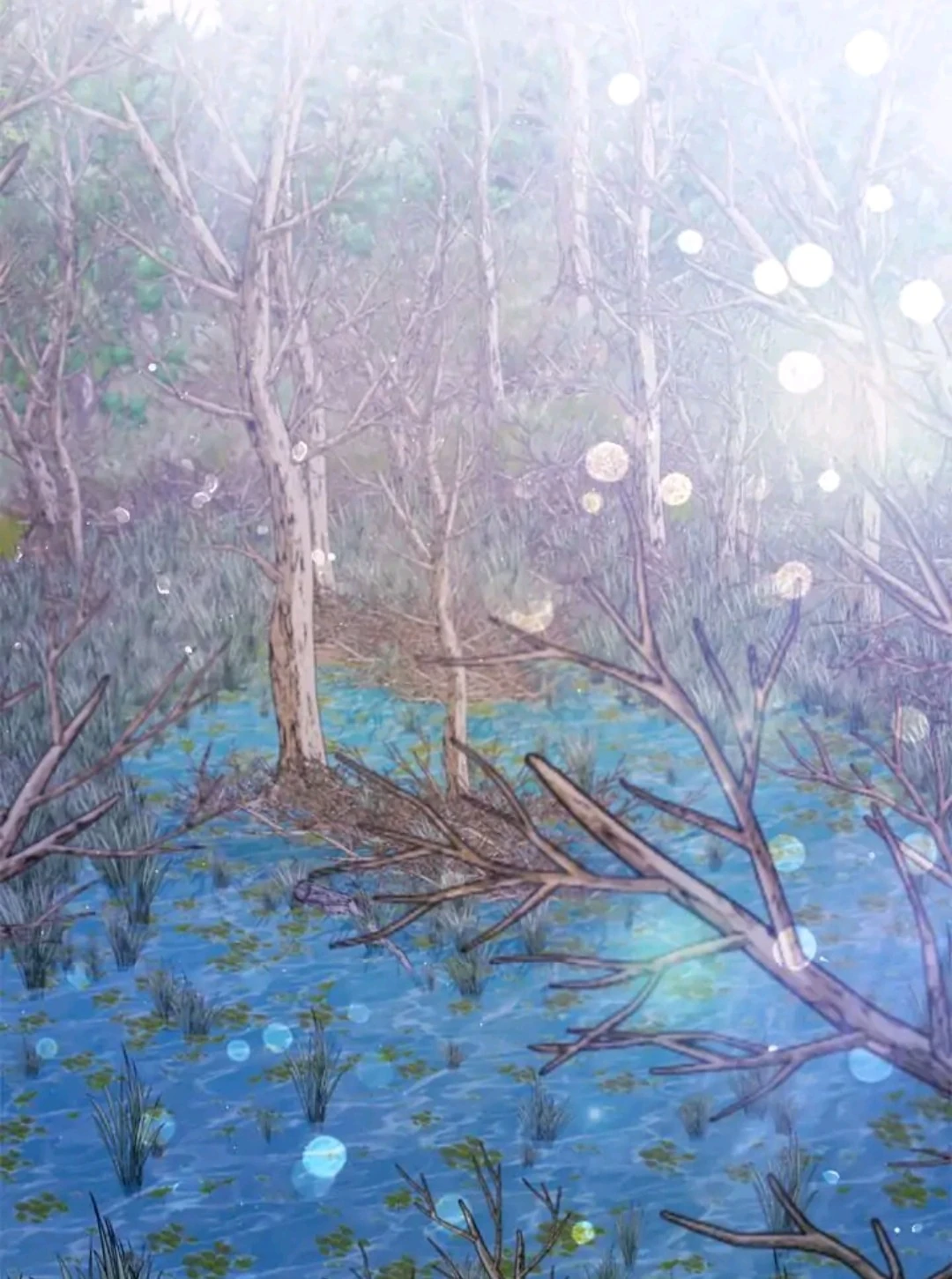 Duck Weed Swamp | Terrarium Adventure Wiki | Fandom