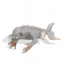 Watu | The Terran RPs Wiki | Fandom