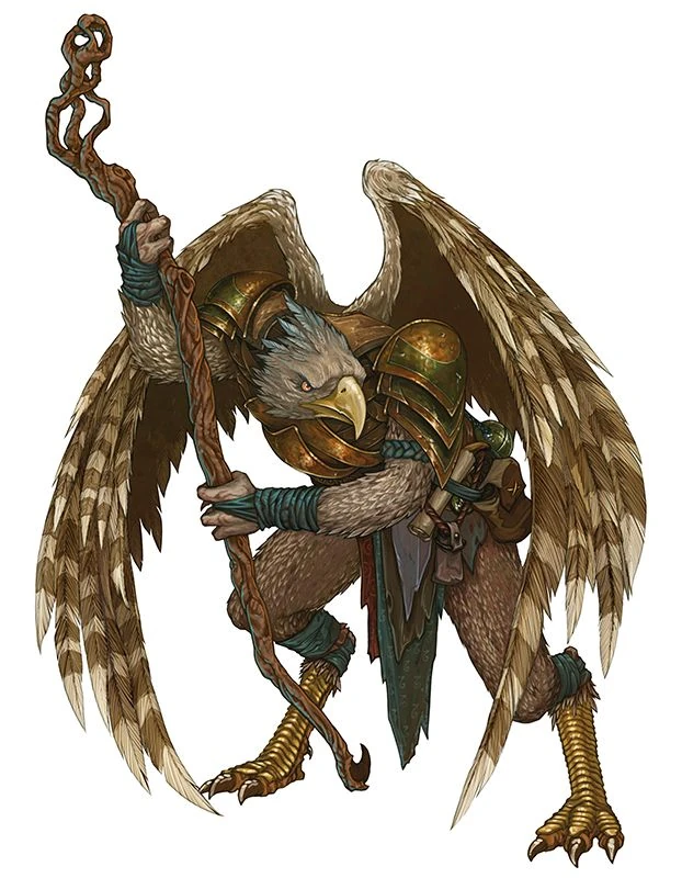 Aarakocra | Terreth Wiki | Fandom