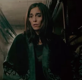 The Cat Lady | Terrifier Wiki | Fandom