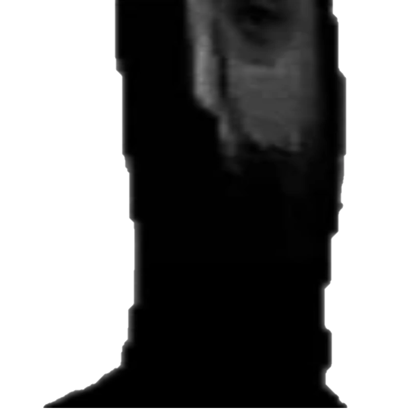 Murray | Terror Nextbots Wiki | Fandom