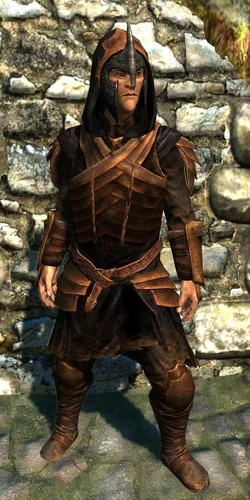 Bosmer Armor | The Elder Scrolls Mods Wiki | Fandom