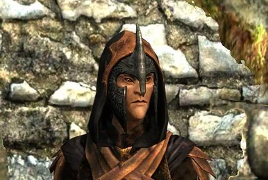 bosmer elder armor