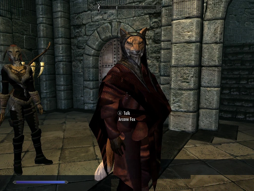 Fennec follower Arcane Fox | The Elder Scrolls Mods Wiki | Fandom