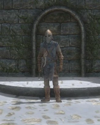 Windhelm Guard | The Elder Scrolls Mods Wiki | Fandom