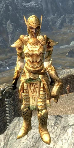 Bonemold Armor | The Elder Scrolls Mods Wiki | Fandom