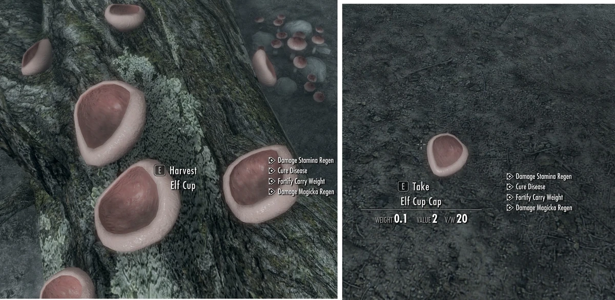 Elf Cup Cap | The Elder Scrolls Mods Wiki | Fandom