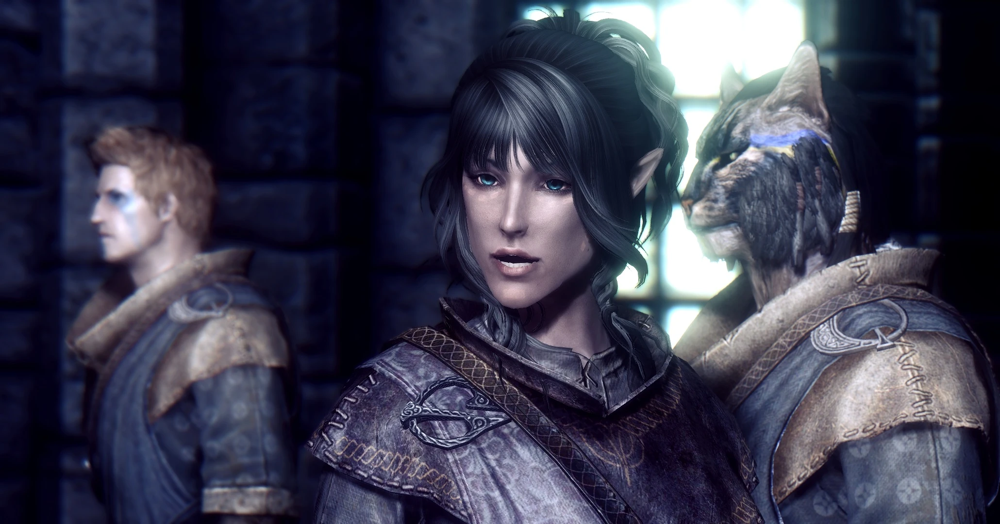Skyrim Character Mods