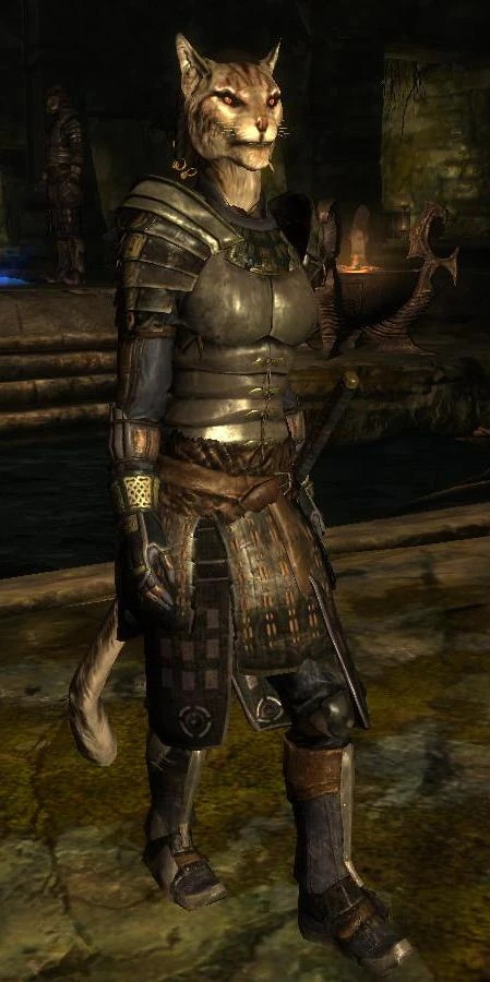 S'Vashni | The Elder Scrolls Mods Wiki | Fandom