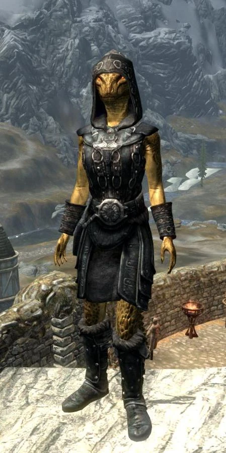 Elder Scrolls Online Female Armor