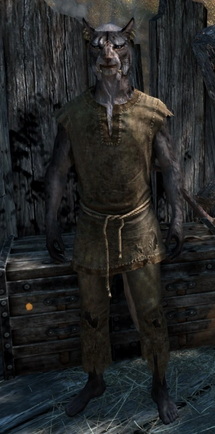 Dro'bar | The Elder Scrolls Mods Wiki | Fandom