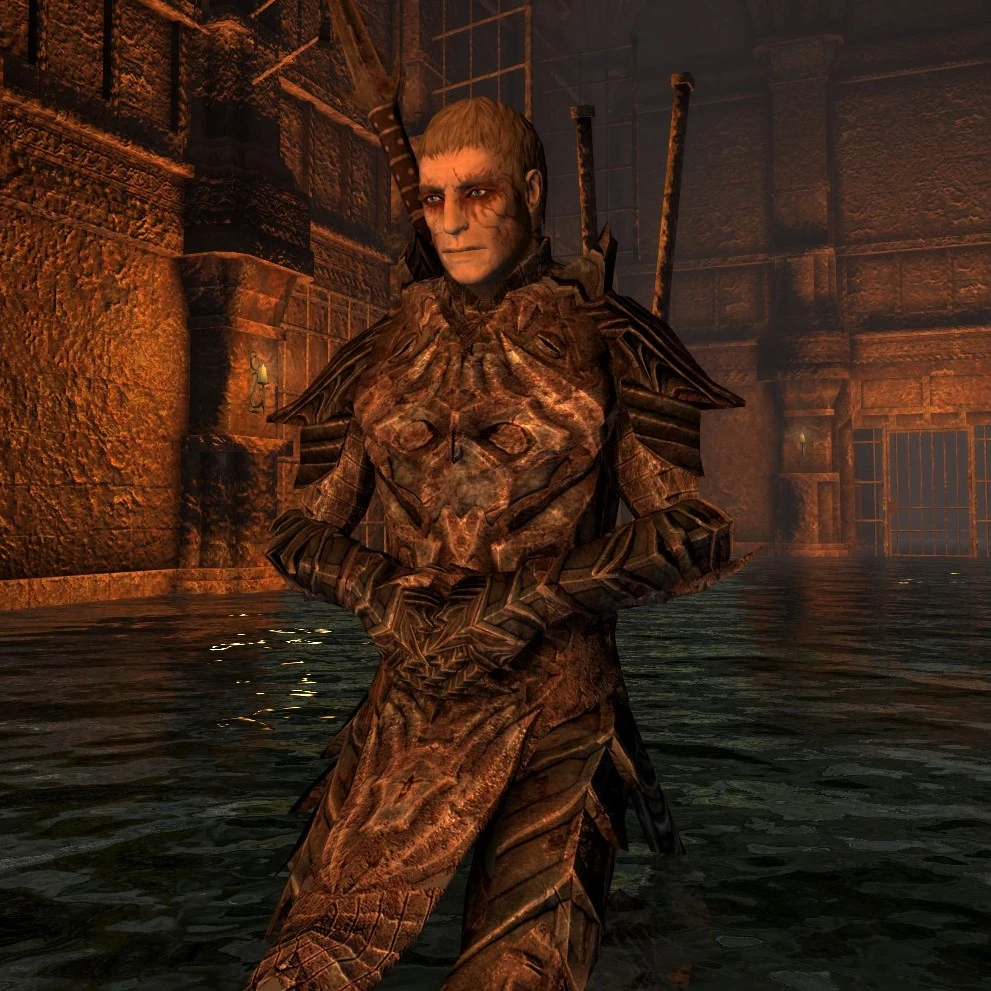 Bartholo the Knight of Bloodrust | The Elder Scrolls Mods Wiki | Fandom