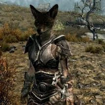 Race Mods (Skyrim) | The Elder Scrolls Mods Wiki | Fandom
