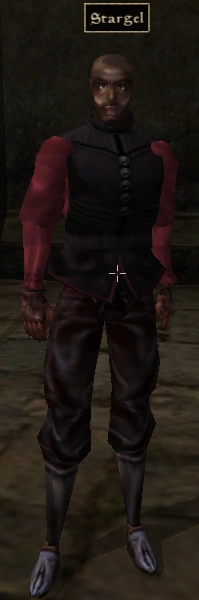 Stargel | TES Mapper Project Wiki | Fandom