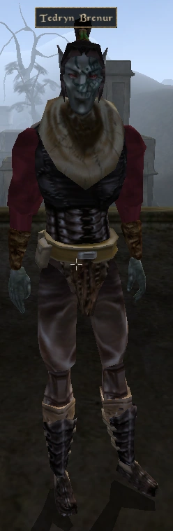Tedryn Brenur | TES Mapper Project Wiki | Fandom