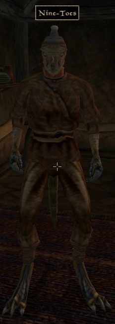 Nine-Toes | TES Mapper Project Wiki | Fandom