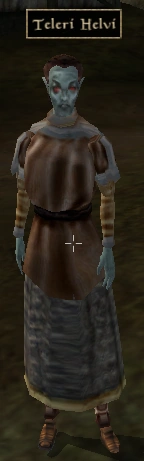 Teleri Helvi | TES Mapper Project Wiki | Fandom