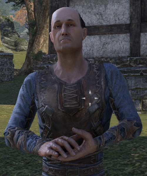 Ylbore Eniel | The Elder Scrolls MMORPG Wiki | Fandom