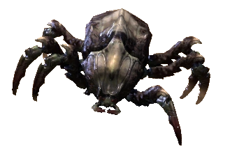 Assassin Beetle - TESO Wiki - The Elder Scrolls Online