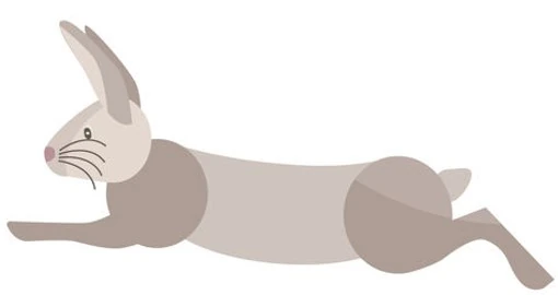 Camja's Testing page | Test-css Wiki | Fandom