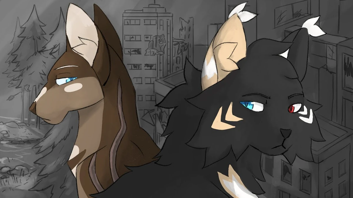 The Stranger - Ayki Storyboard | Experience n7 Wiki | Fandom