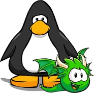 Dragon Puffle | Club Penguin Legacy Wiki | Fandom