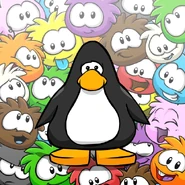 Pile of Puffles Background | Club Penguin Legacy Wiki | Fandom